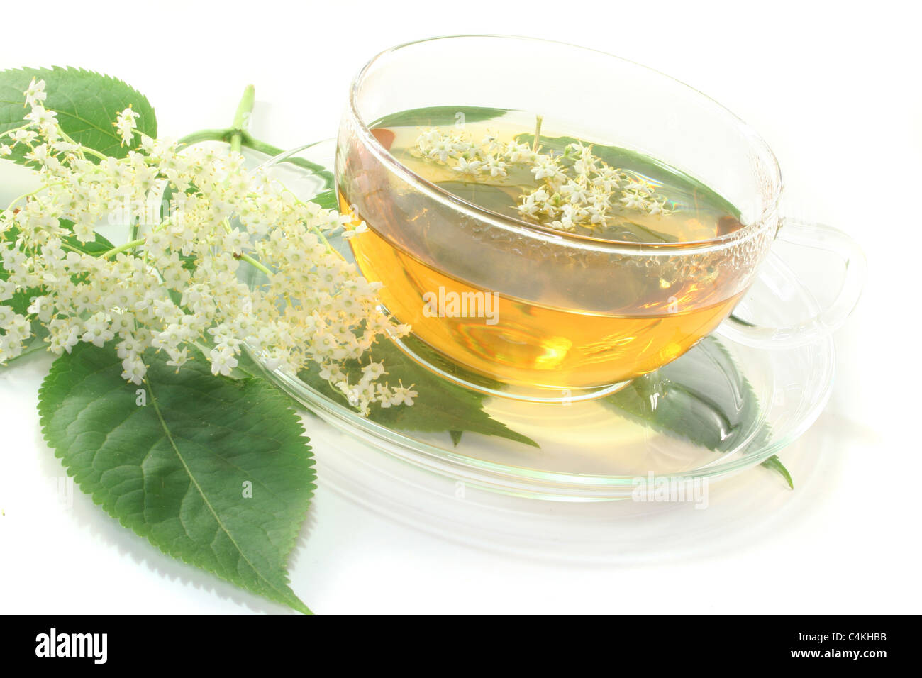 Elderflower tea hi-res stock photography and images - Alamy