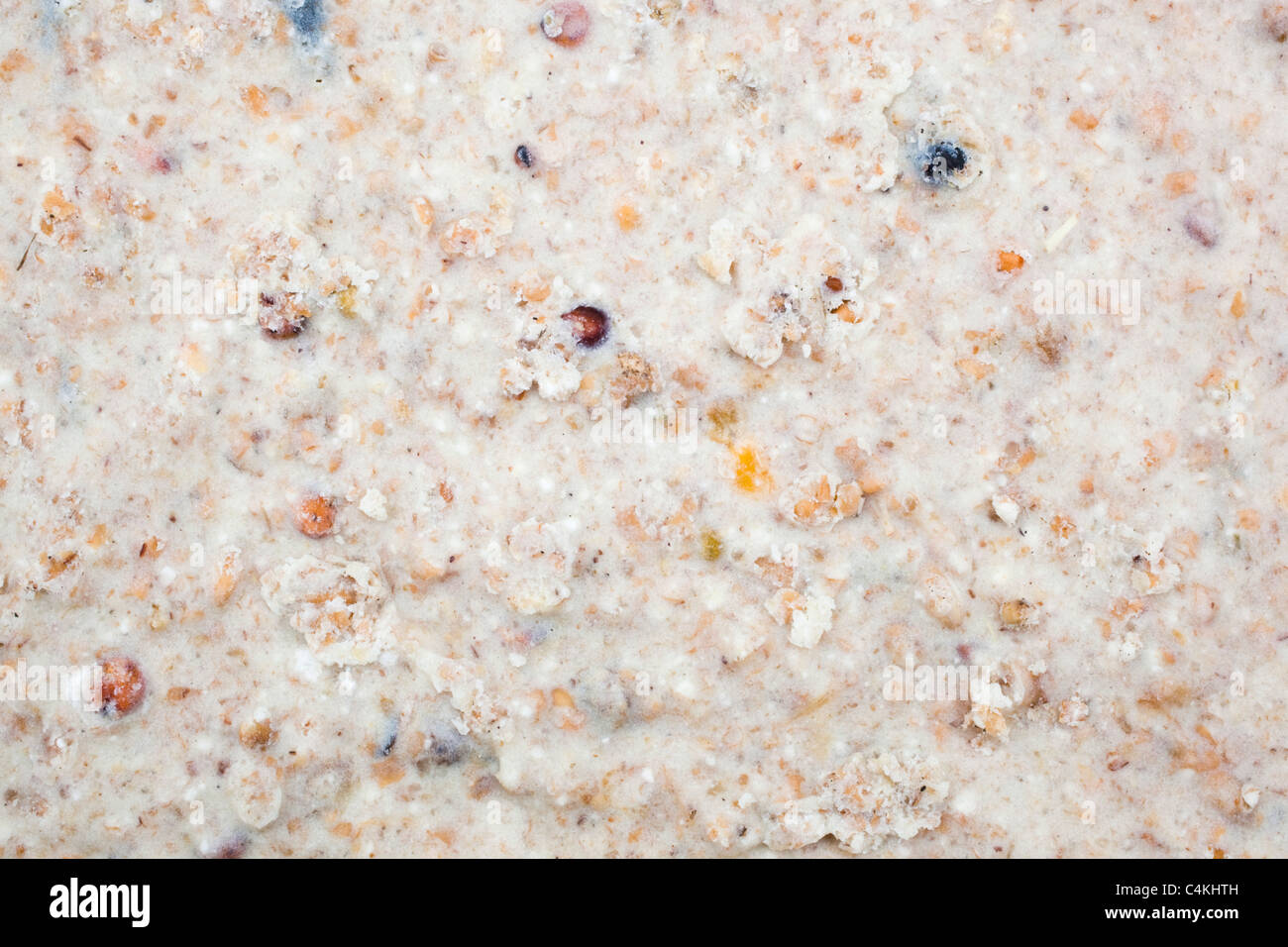 Fat Bar Bird Food Stock Photo - Alamy