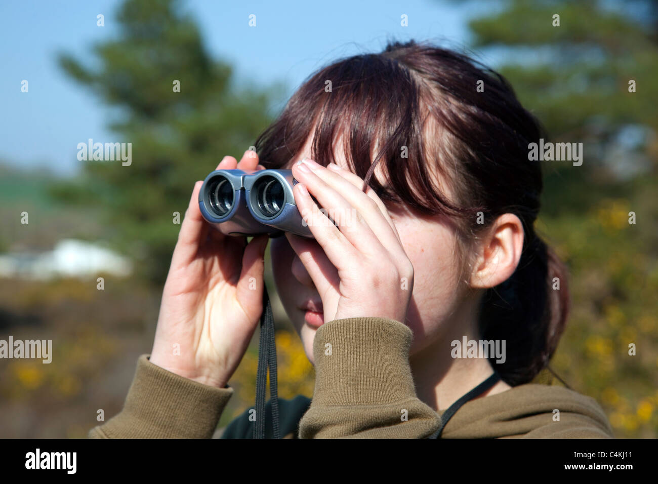 Girl bird watching; Cornwall Stock Photo - Alamy