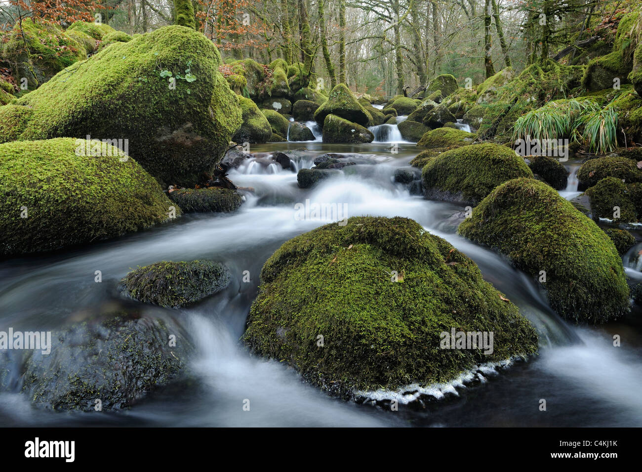 River Meavy near Burrator Reservoir on Dartmoor, Devon, flowing amongst ...