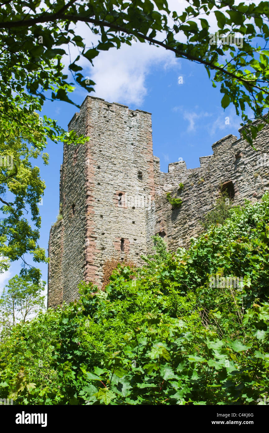 Ludlow castle Ludlow Shropshire UK Stock Photo - Alamy