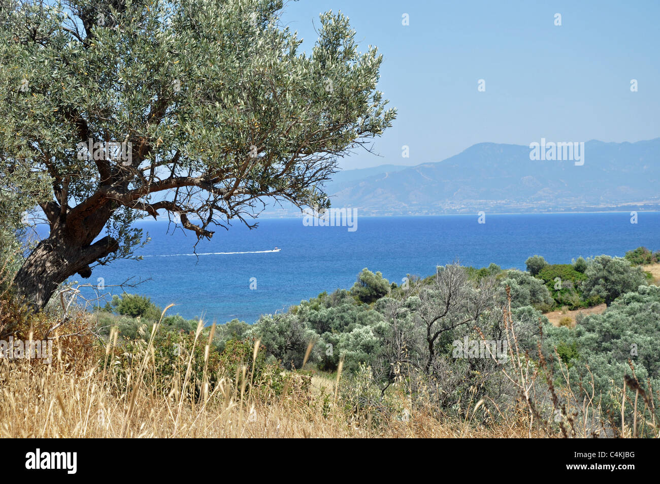 Landscapes in cyprus hi-res stock photography and images - Alamy