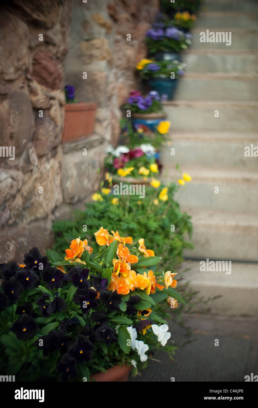 Flowers Stairs Stock Photos & Flowers Stairs Stock Images - Alamy