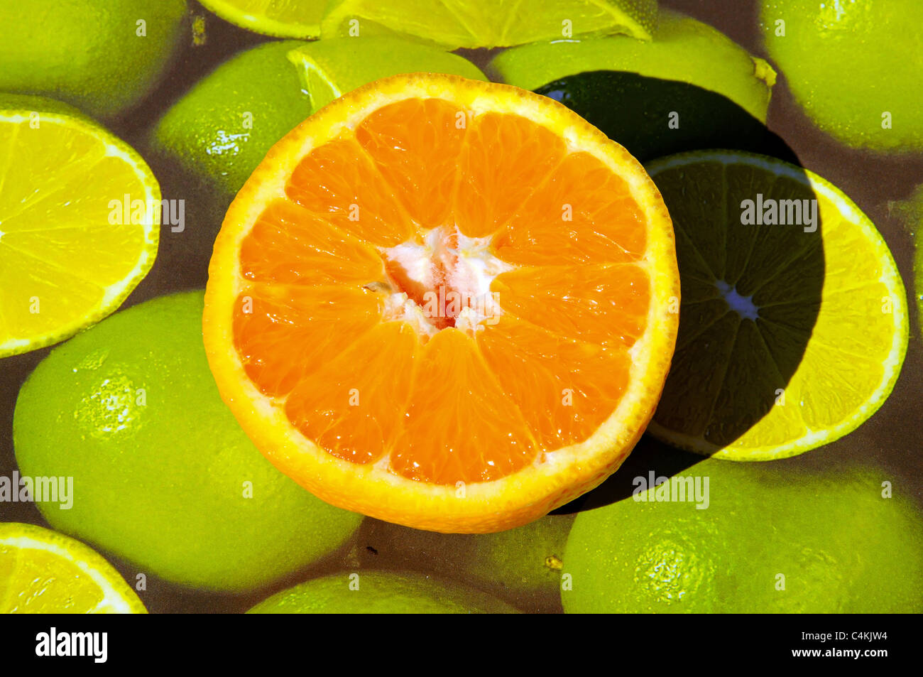 Orange cut in half sideways on a background of limes (matting), Costa ...