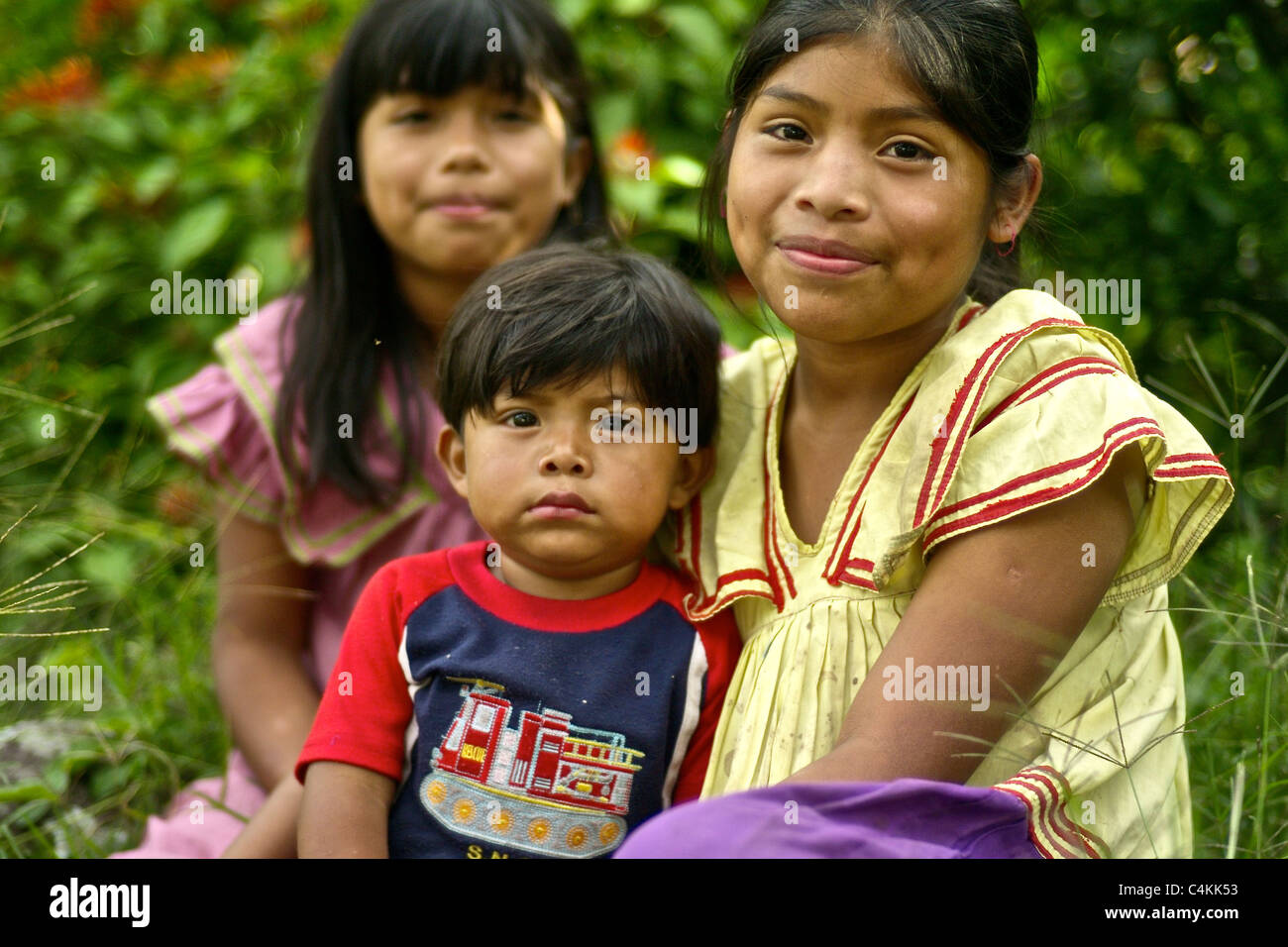 Ngobe Bugle children at a coffee plantation Stock Photo - Alamy