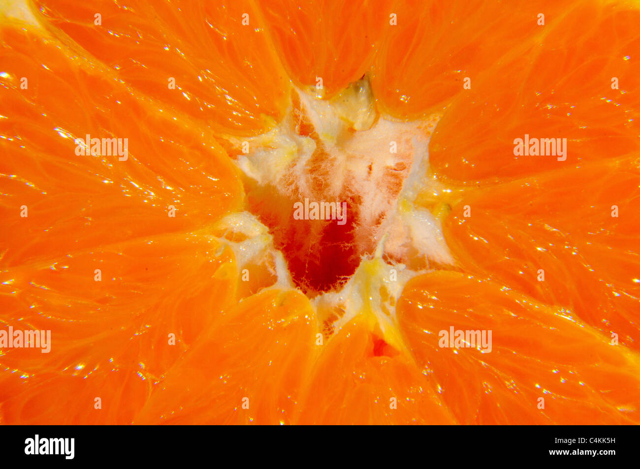 Middle of an orange cut sideways, Costa del Sol, Andalucia, Spain ...