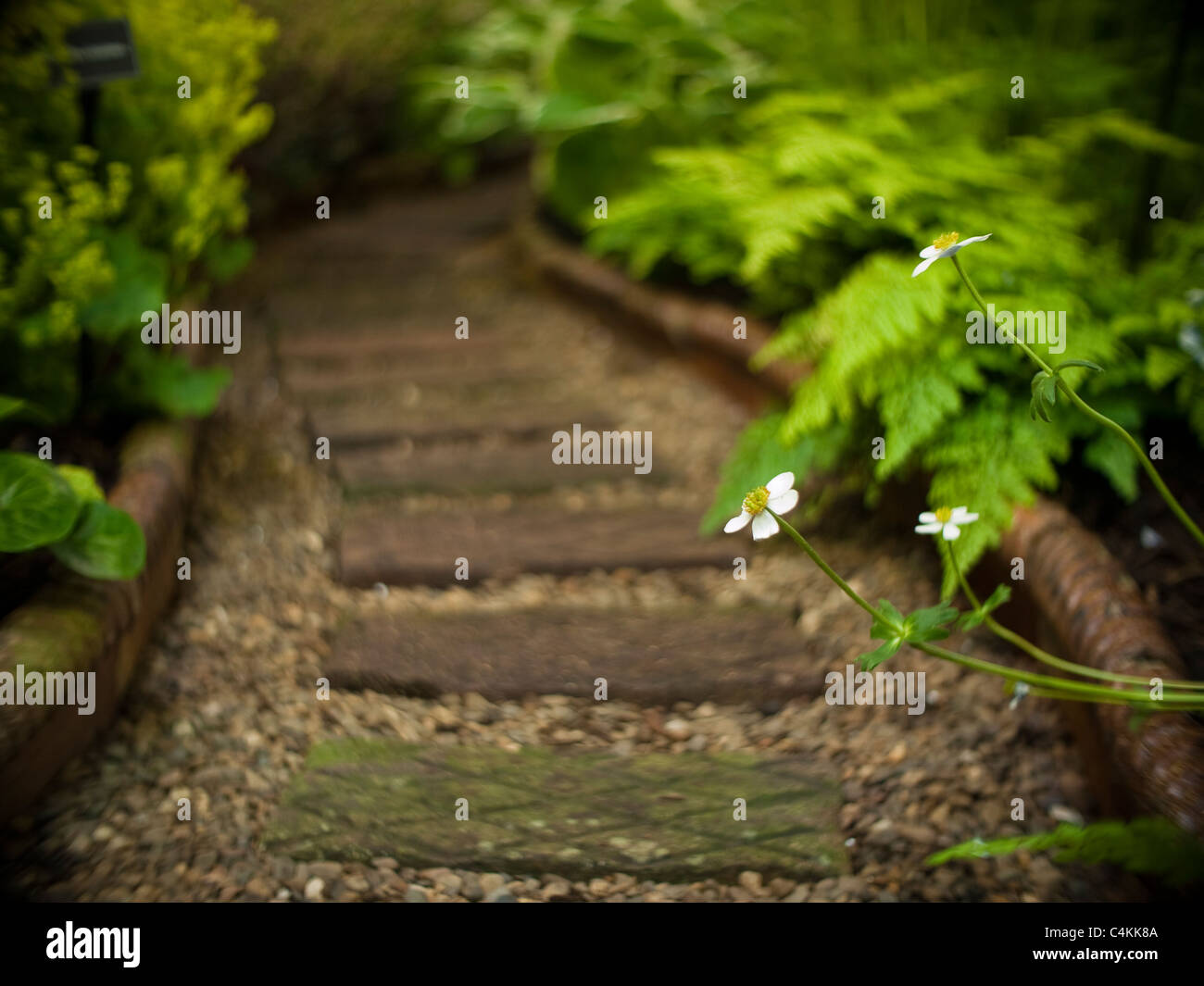 Decorative path hi-res stock photography and images - Alamy