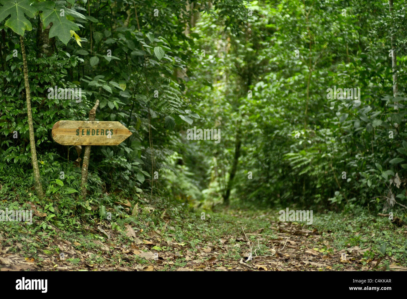 Trails at Finca Lerida Coffee Plantation Stock Photo - Alamy