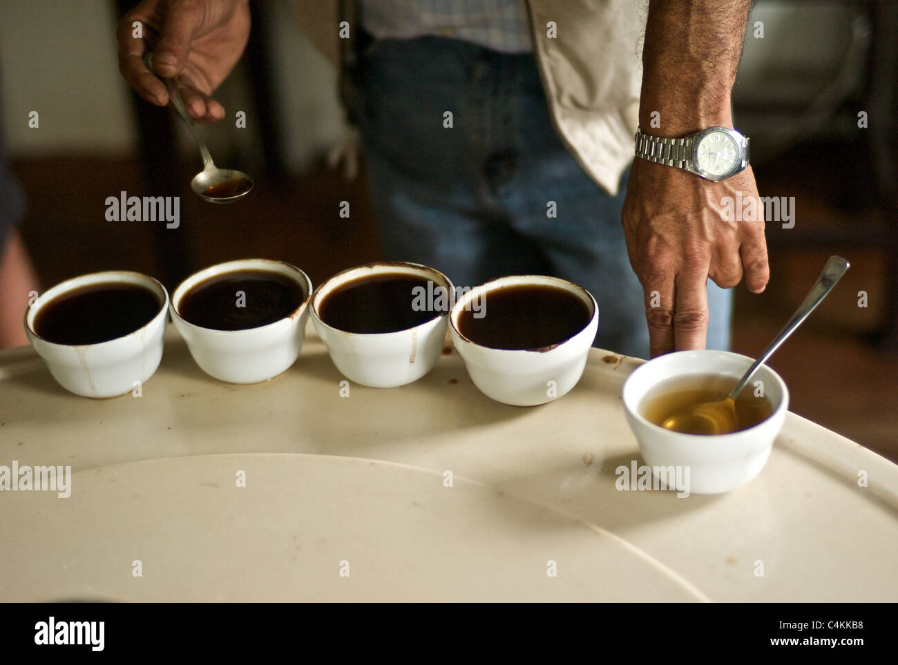 Coffee tasting at Finca Lerida Plantation and Hotel (Panama Stock Photo ...