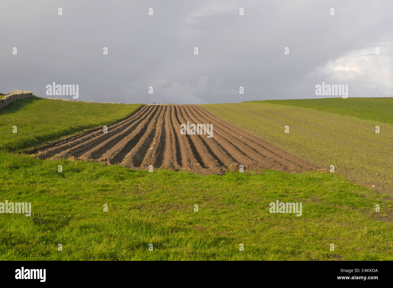 Newly ploughed field: Shetland, Scotland, UK Stock Photo - Alamy