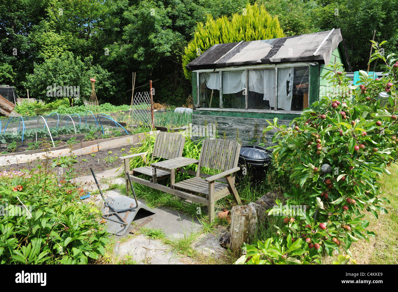 Shed and seating area on an allotment garden Stock Photo - Alamy