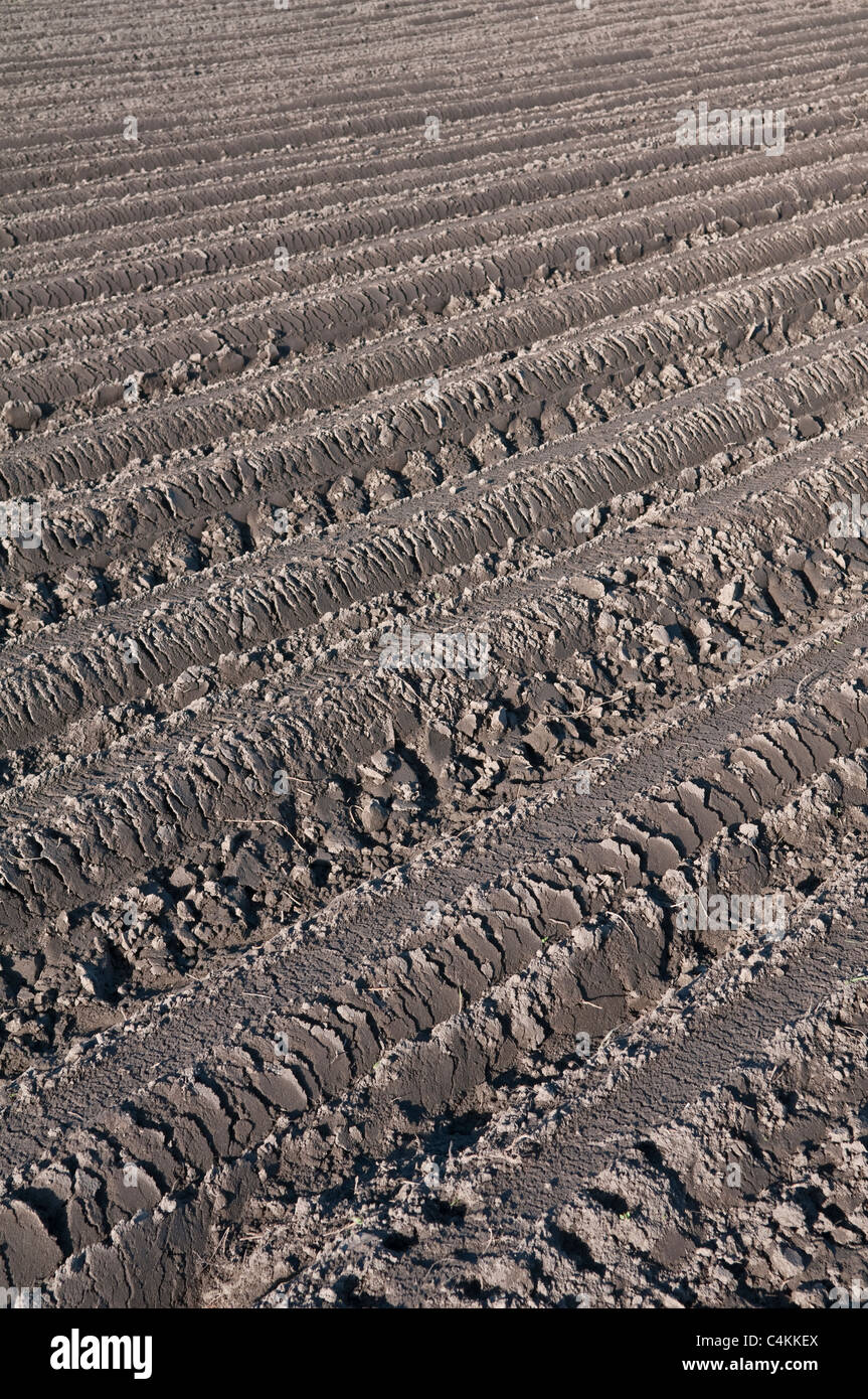 Plough field hi-res stock photography and images - Alamy