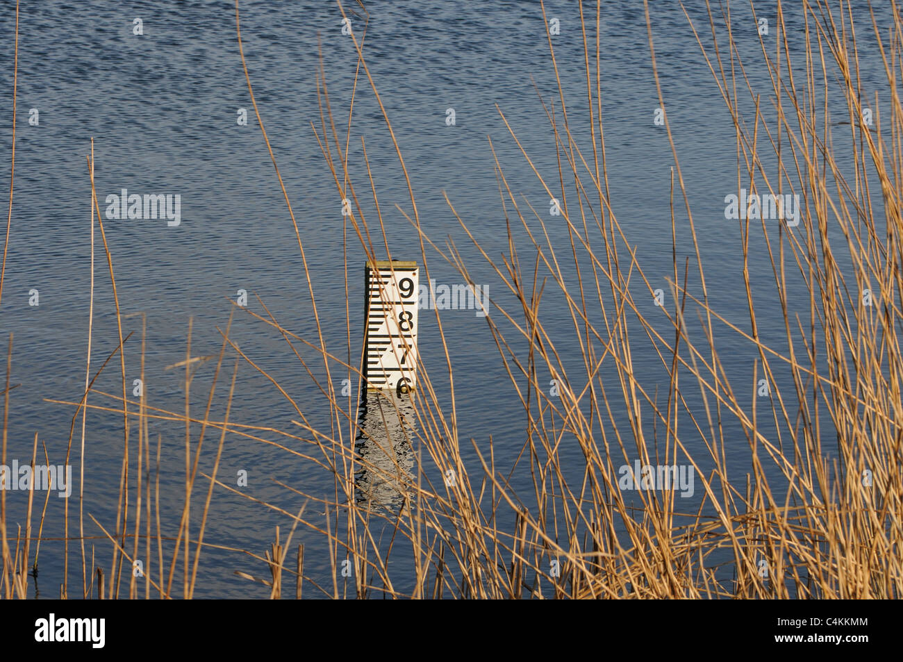 A stake with a scale measuring the depth of a lake Stock Photo - Alamy