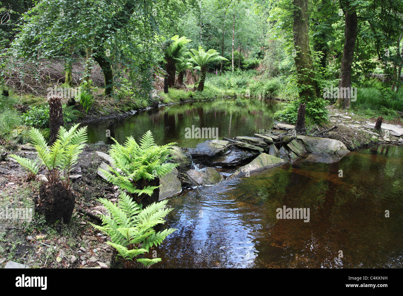 Kells bay gardens hi-res stock photography and images - Alamy