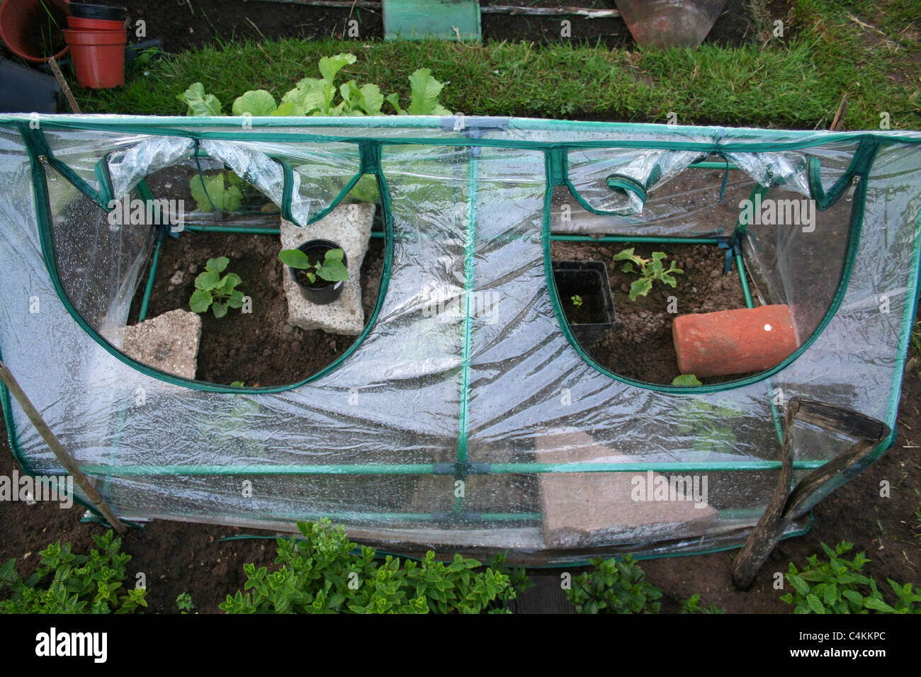 Coldframe hi-res stock photography and images - Alamy