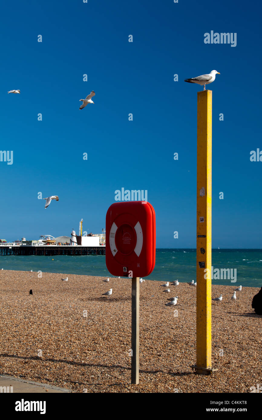 Brighton seafront safety hi-res stock photography and images - Alamy