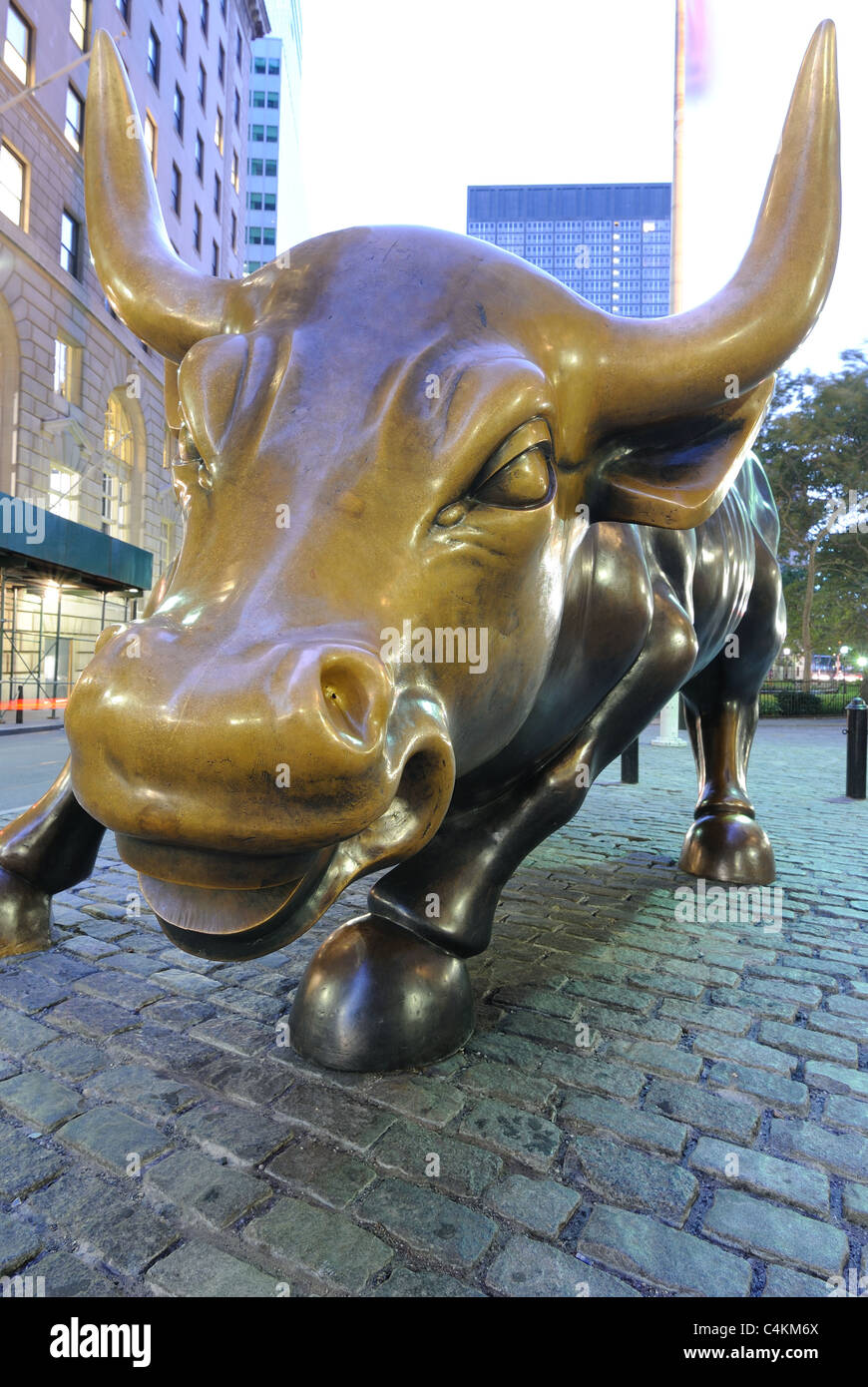 Bull city hi-res stock photography and images - Alamy