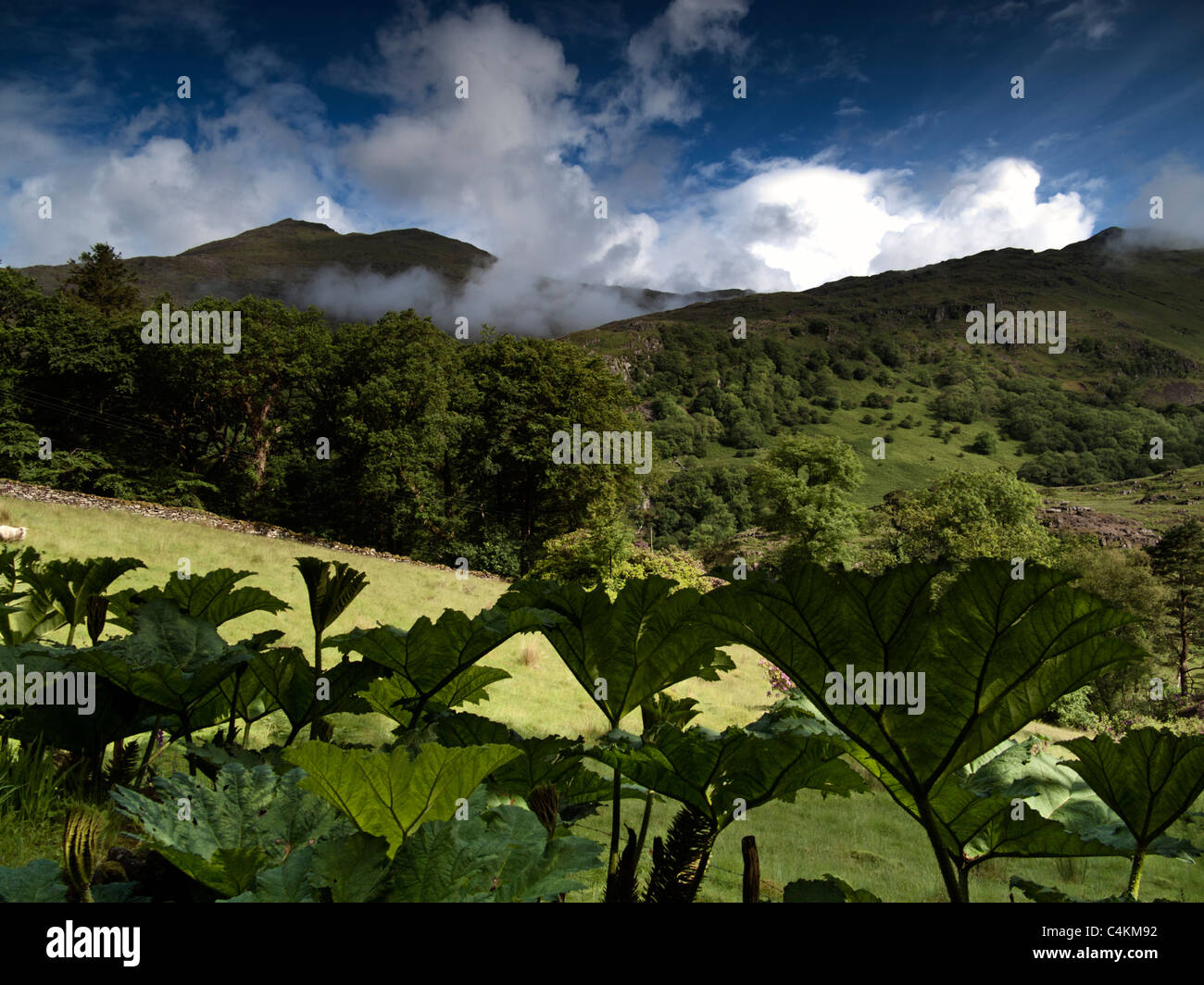 Low cloud over the mountains of Snowdonia at Nant Gwynant, North Wales ...