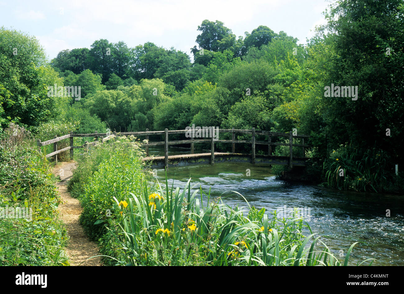 River Itchen, Ovington, Hampshire England UK English rivers green ...
