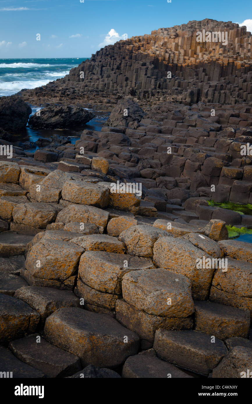 The Giant's Causeway on the northern coast of Northern Ireland, UK ...
