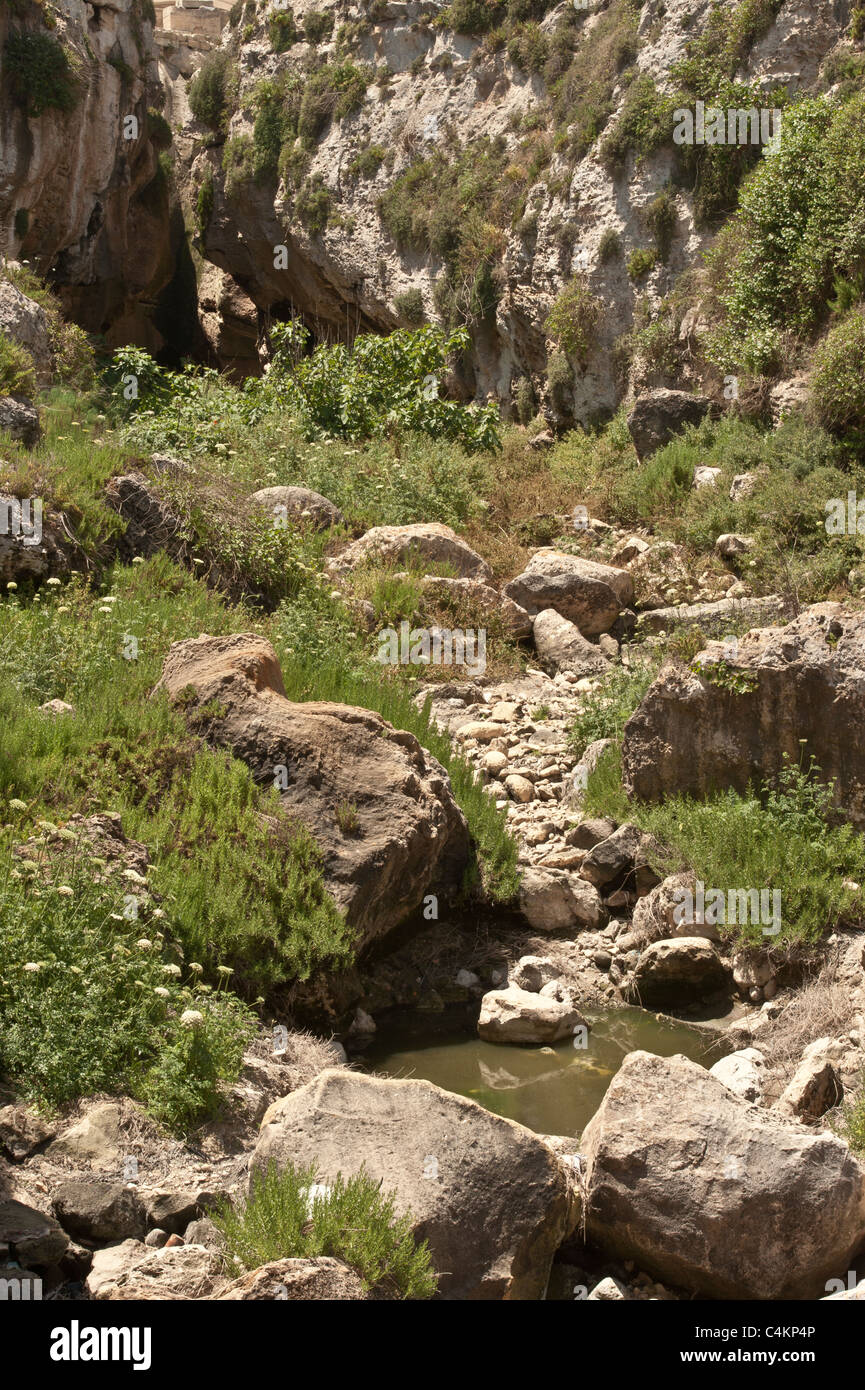 A deep rocky dried gorge with pool of water (pond Stock Photo - Alamy