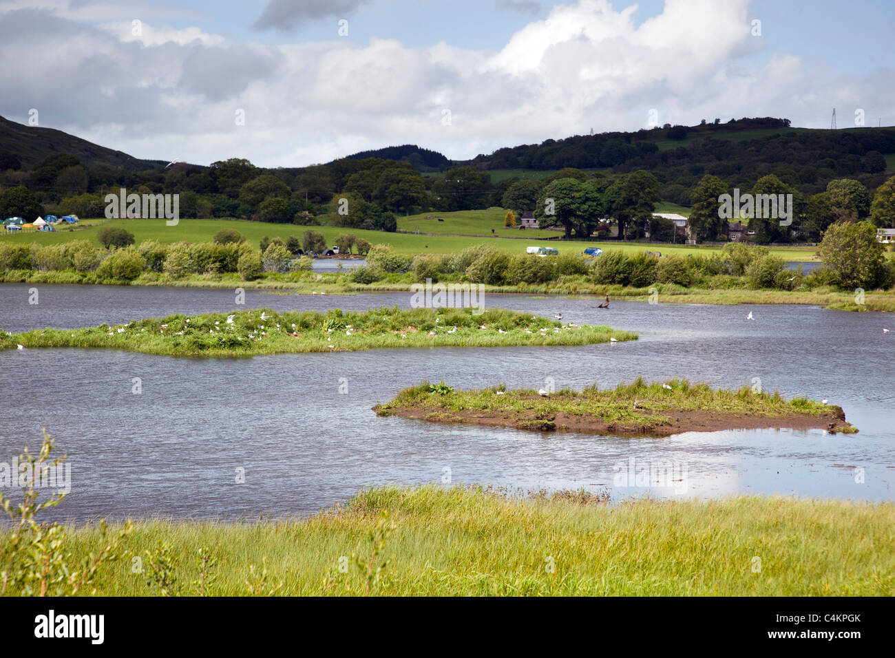 Ken Dee RSPB Reserve; Dumfries and Galloway; Scotland Stock Photo - Alamy