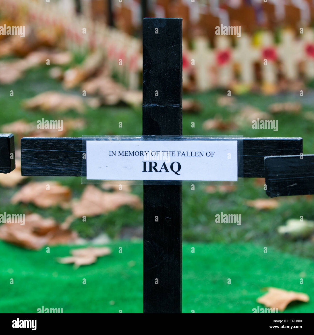 Remembrance day, a cross in memory of the fallen of Iraq Stock Photo ...