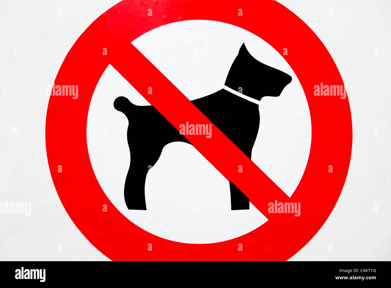 no dog entry sign Stock Photo - Alamy