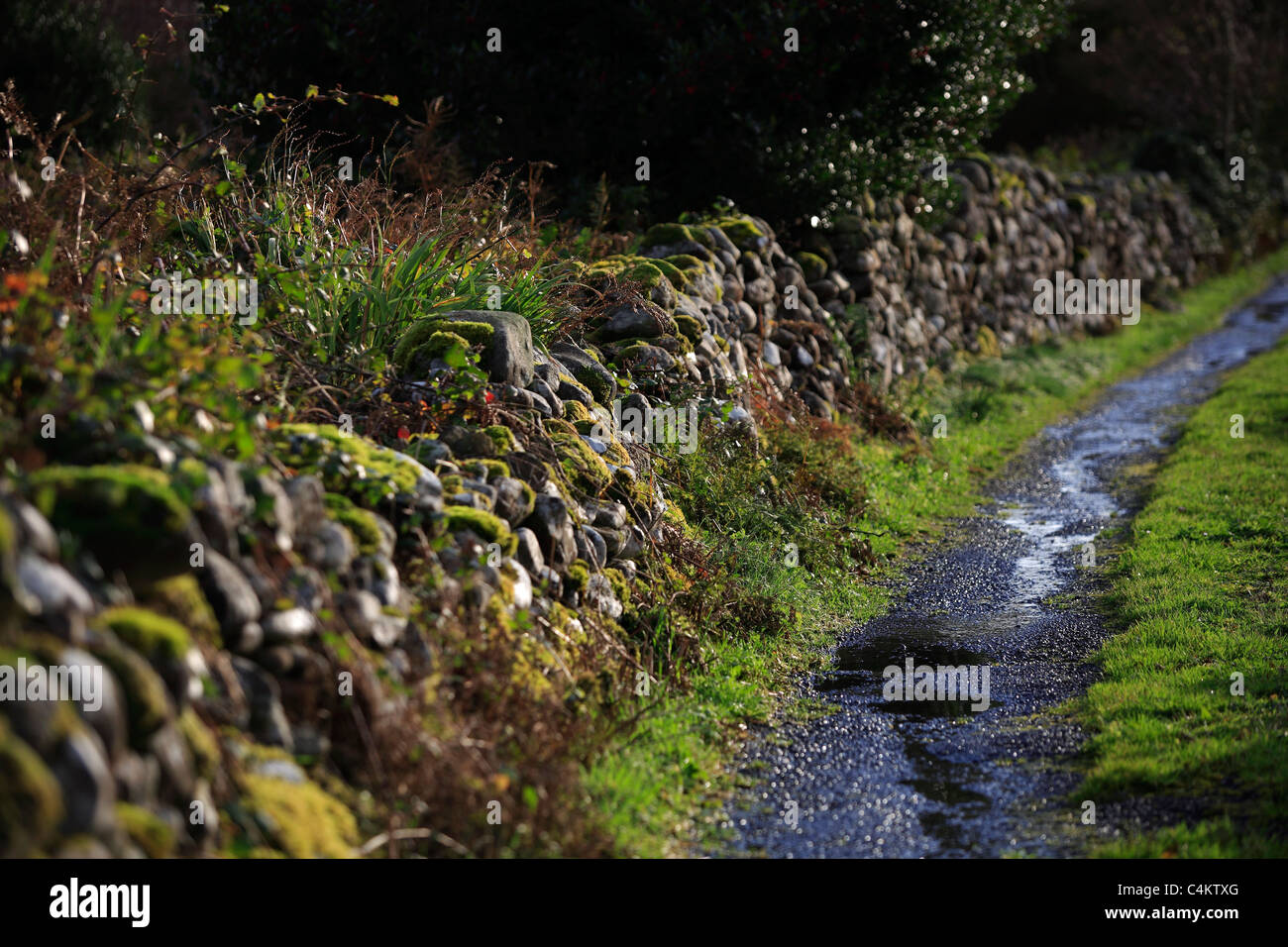 Stone Walls and Pathway Ireland Stock Photo - Alamy