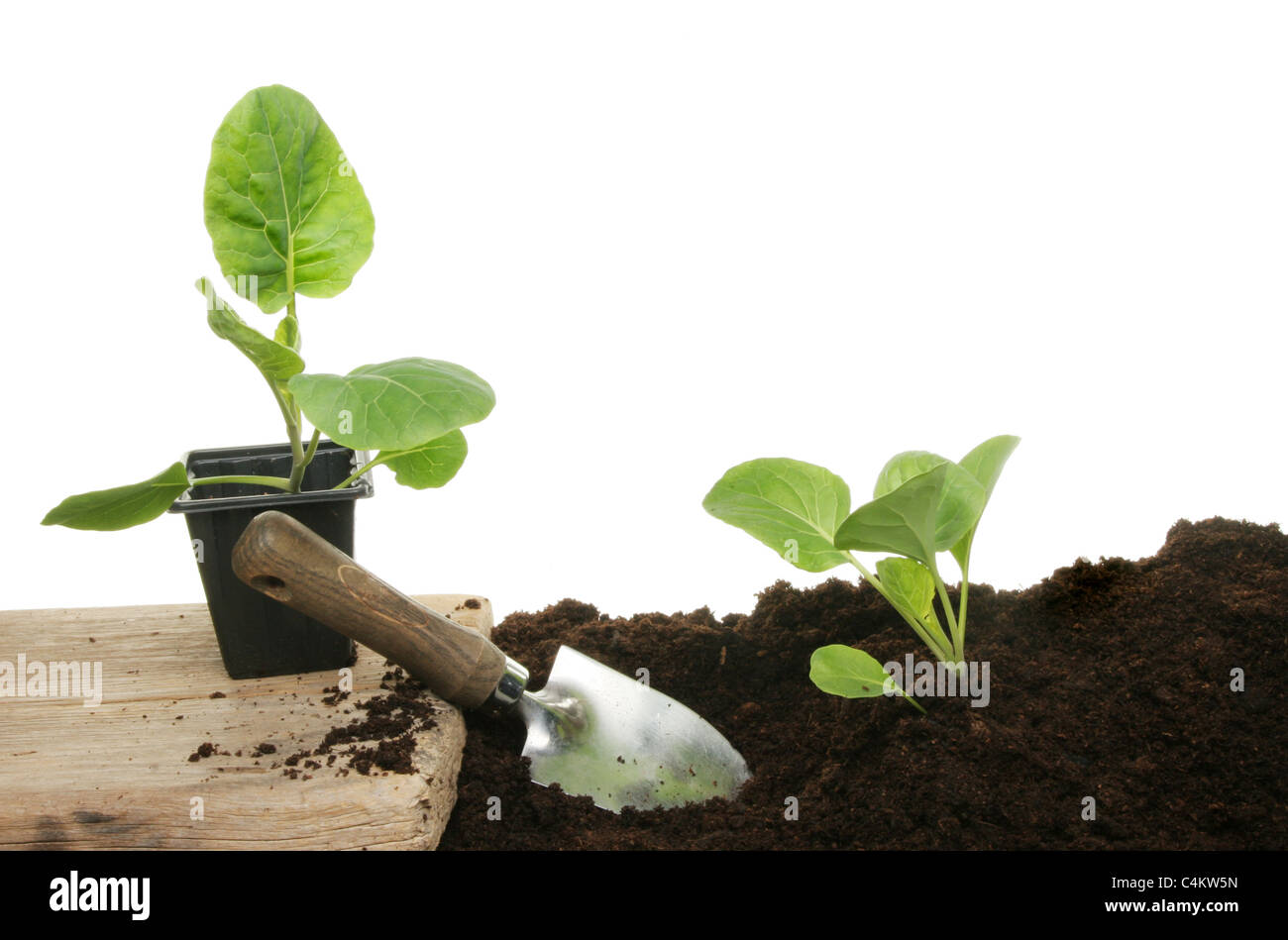 Garden soil plank hi-res stock photography and images - Alamy