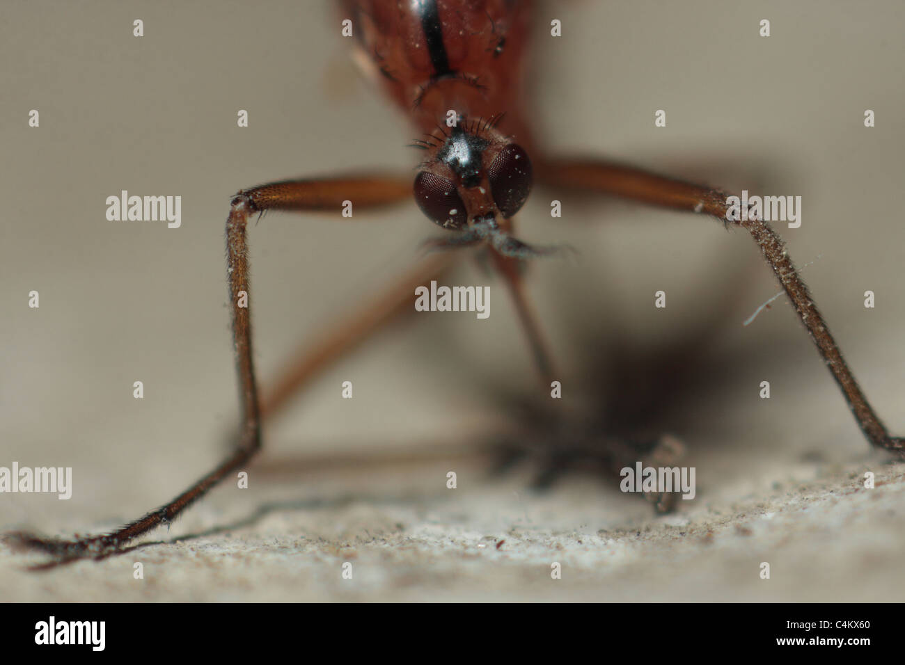 Ph photograph photography hi-res stock photography and images - Alamy