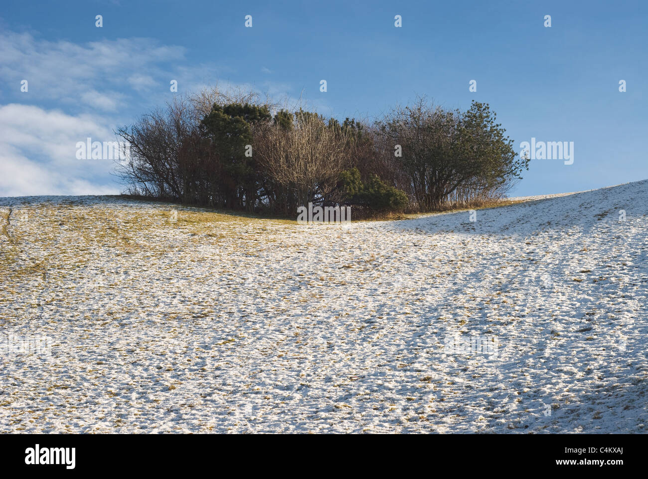 Natural Skyline Landscape of a Snowy Hill Stock Photo - Alamy