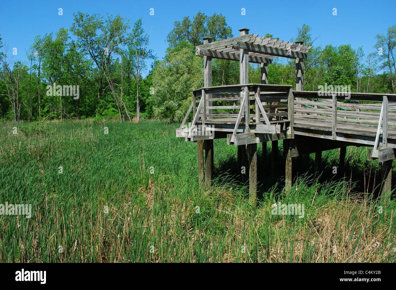 Wetland observation hi-res stock photography and images - Alamy