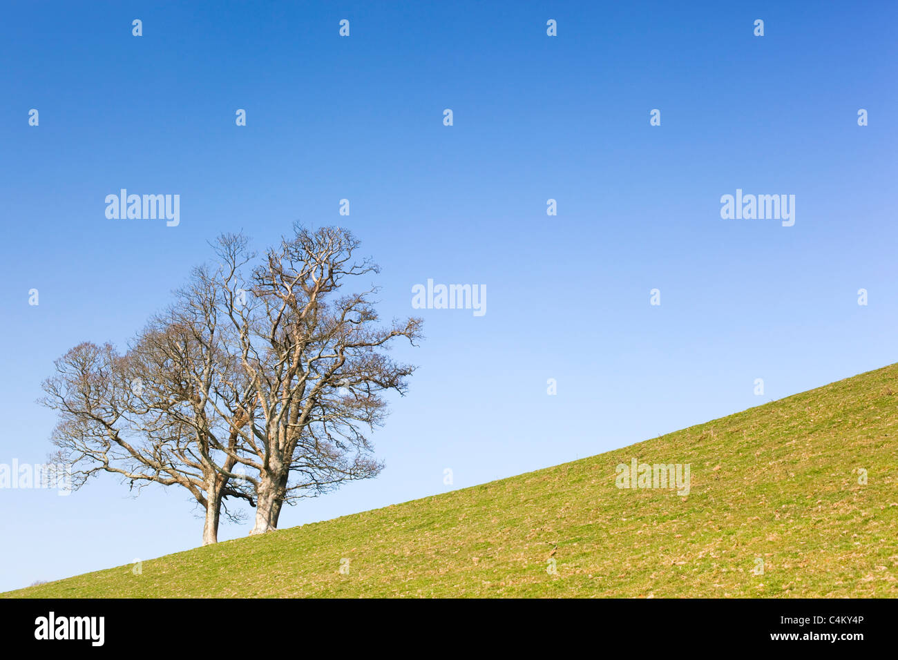 At a slope hi-res stock photography and images - Alamy