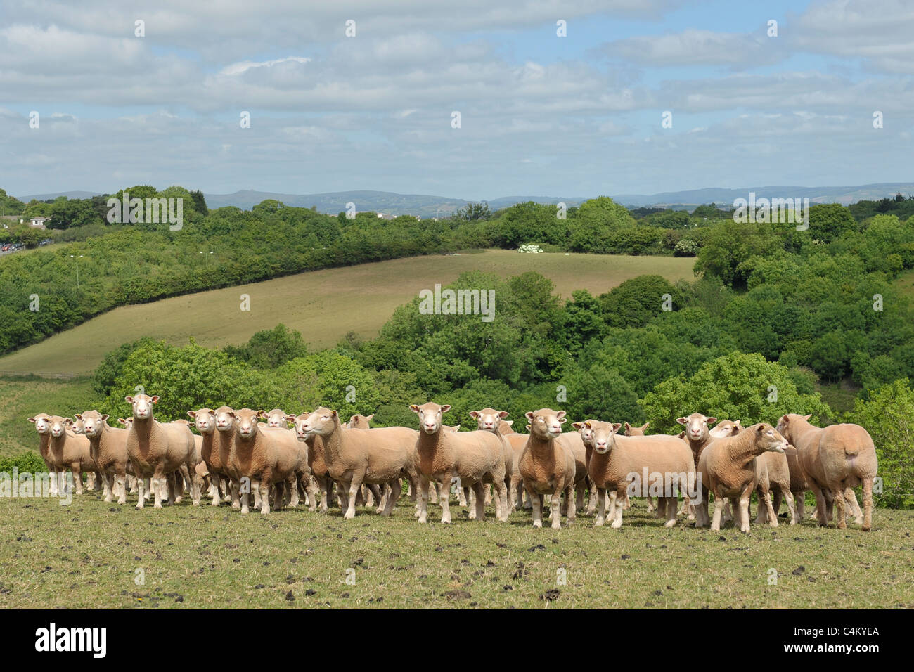 Dorset iconic landscape hi-res stock photography and images - Alamy