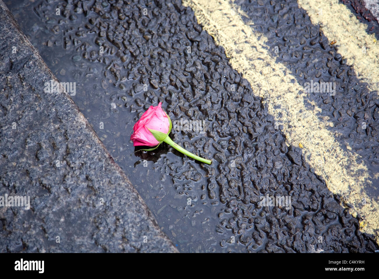 In gutter hi-res stock photography and images - Alamy