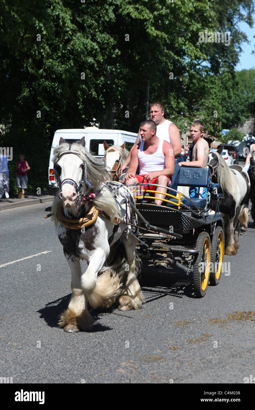 Appleby Horse Fair Westmorland Cumbria Stock Photo - Alamy
