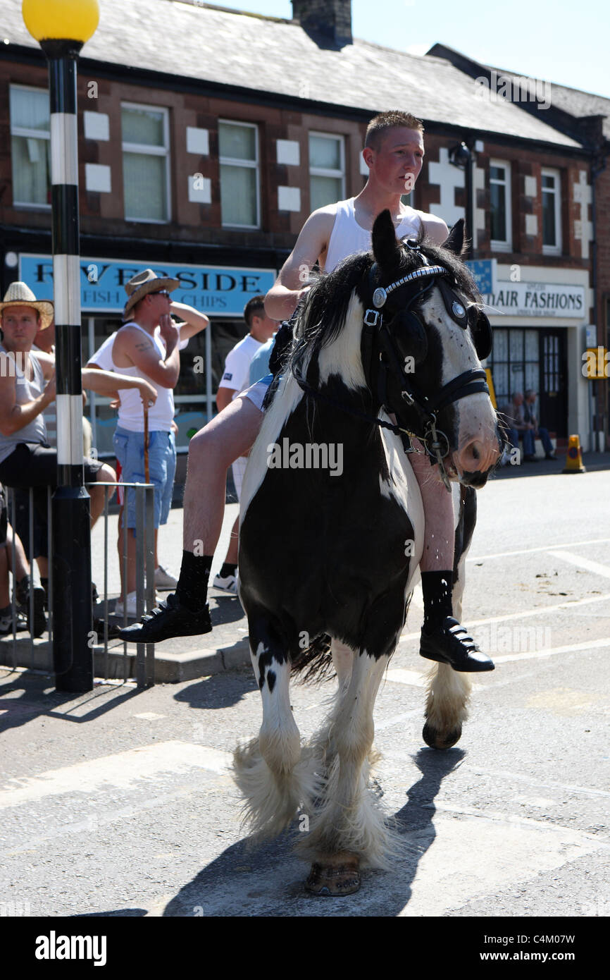 Gipsy horse appleby fair hi-res stock photography and images - Alamy