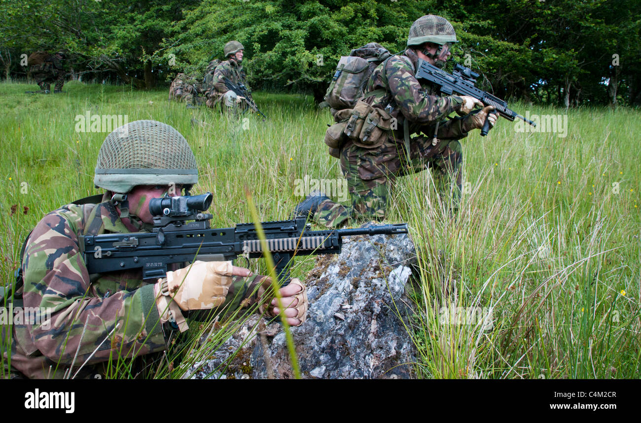 TA soldiers training on Sennybridge military training area in Wales ...