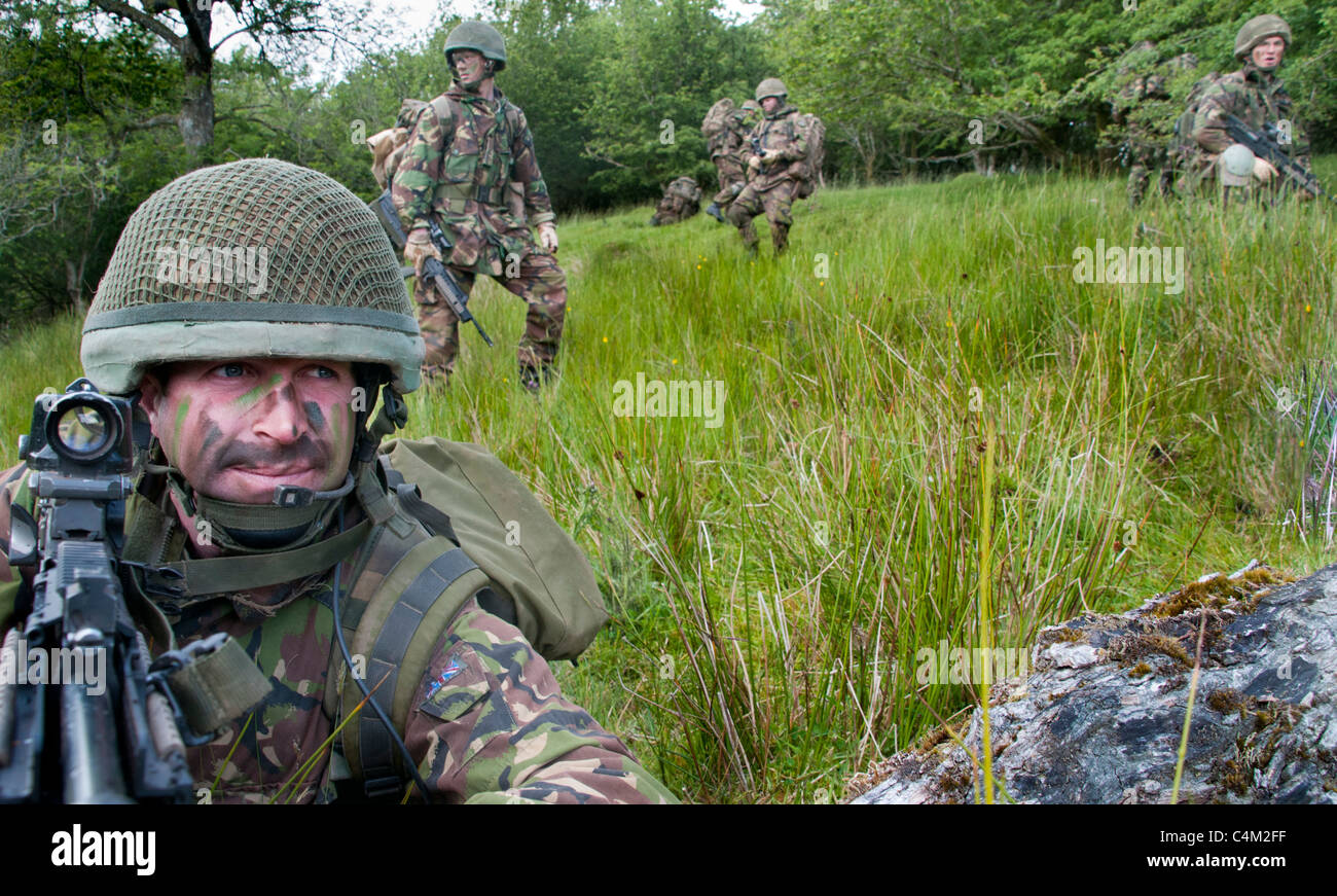 TA soldiers training on Sennybridge military training area in Wales ...