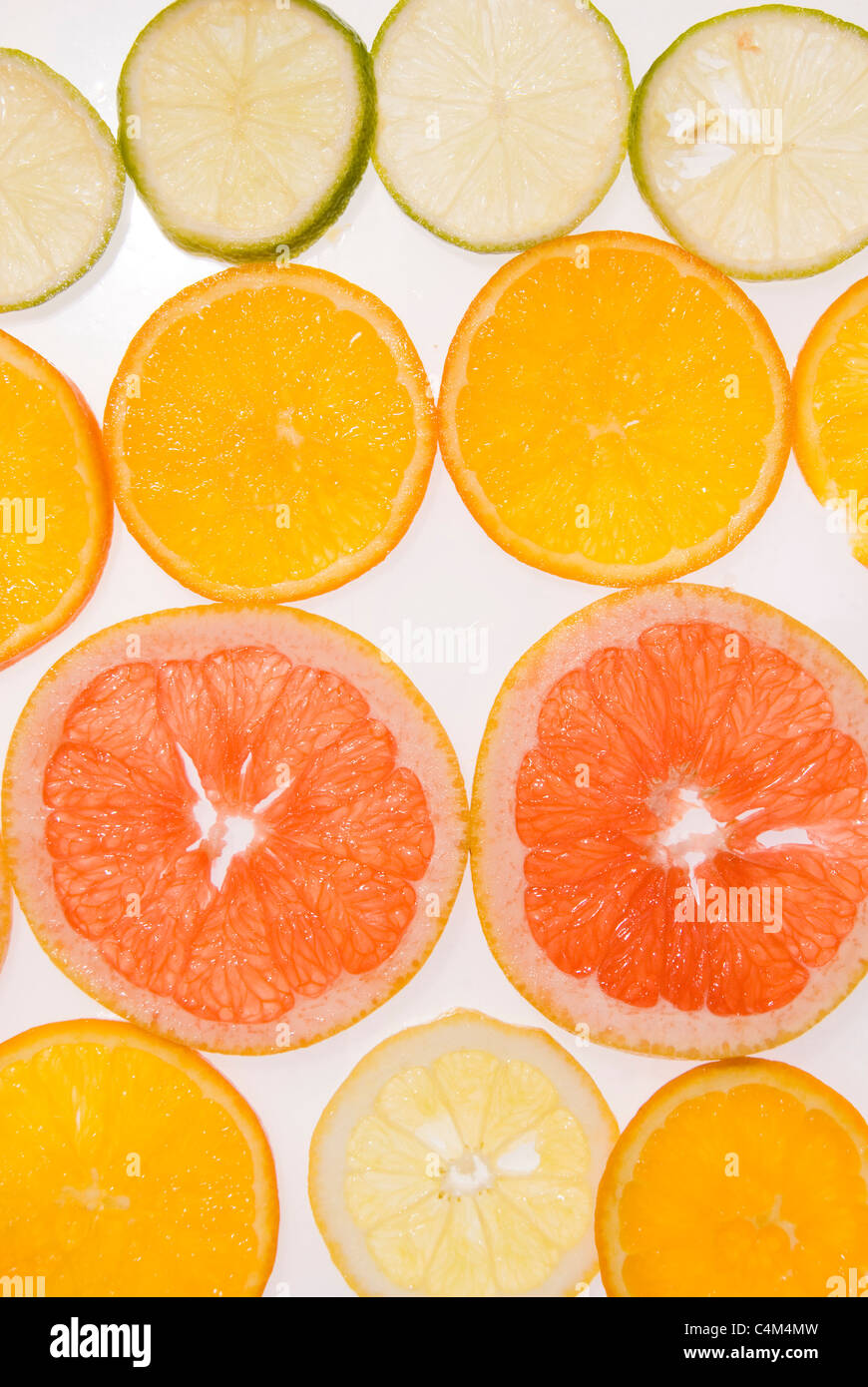 Citrus Fruit Medley: Orange, Grapefruit, Lemon & Lime Slices Isolated ...