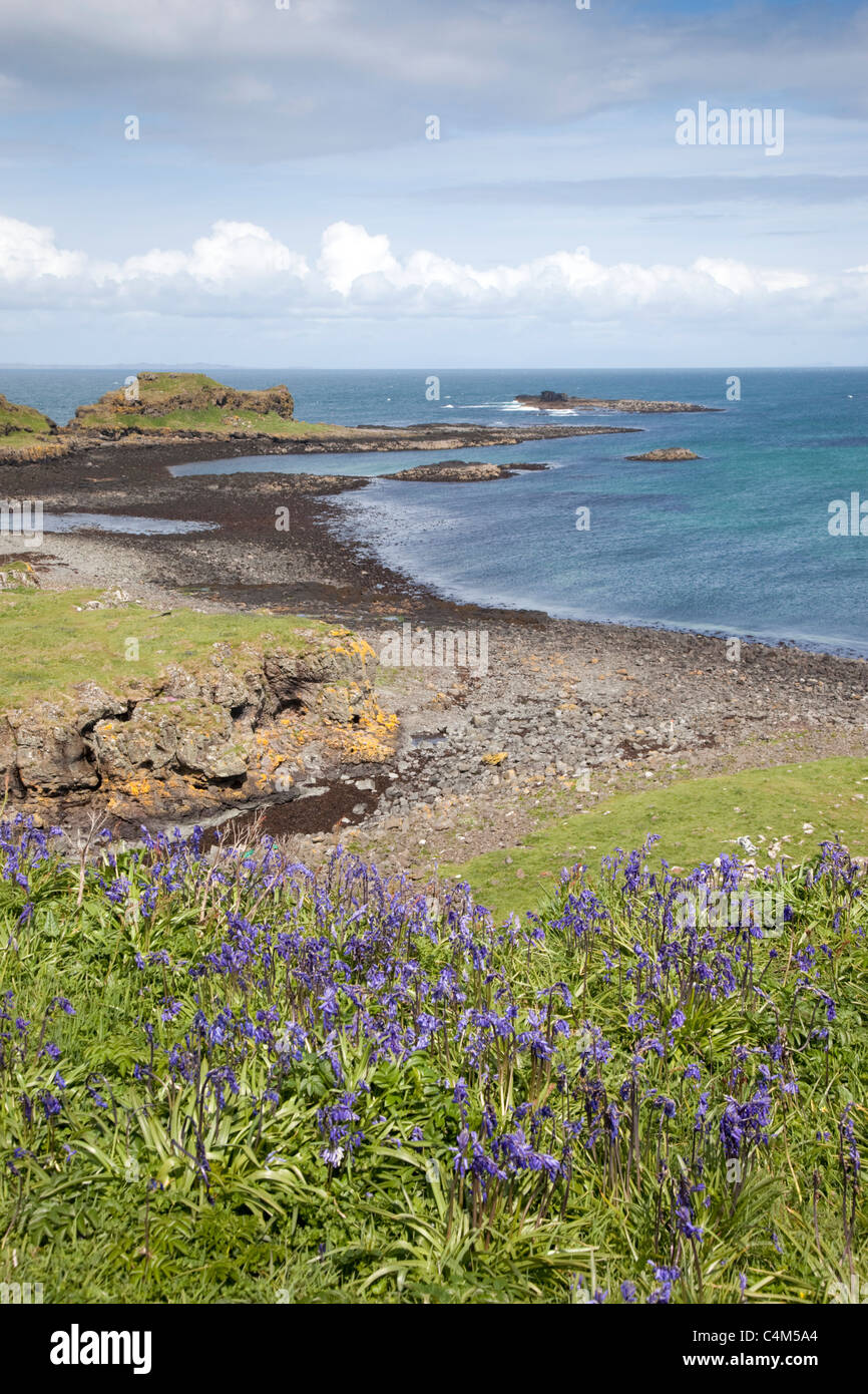 Lunga; Treshnish Islands; Scotland Stock Photo - Alamy