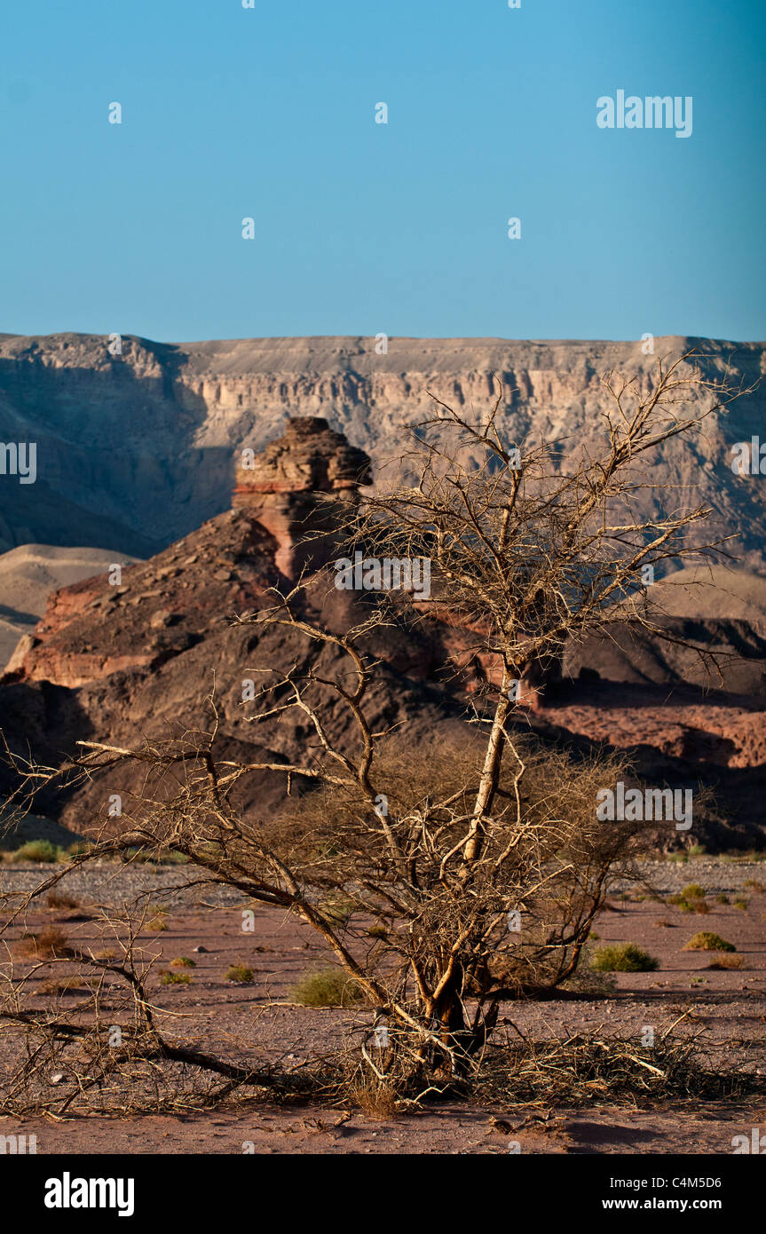 Timna Valley National Park ,Israel Stock Photo - Alamy