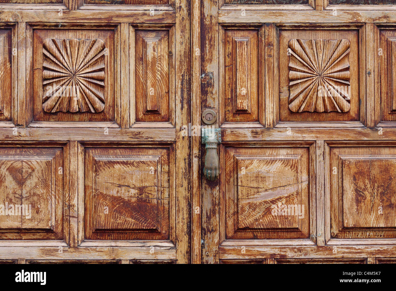 Wooden Door Design Texture