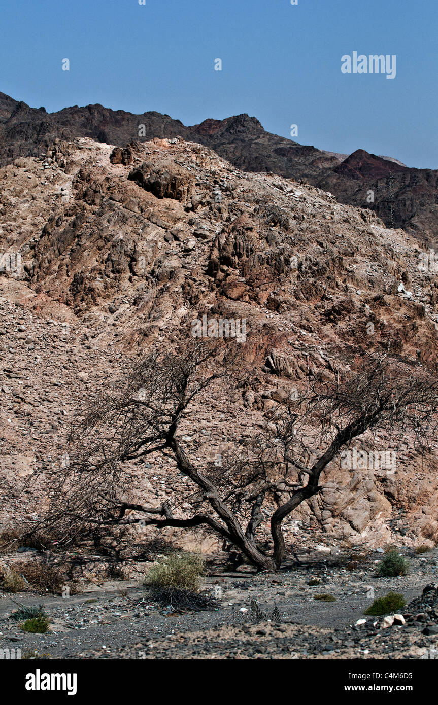 Eilat Mts.Nature reserve,Arabah Valley ,Great Rift Valley ,Israel Stock ...