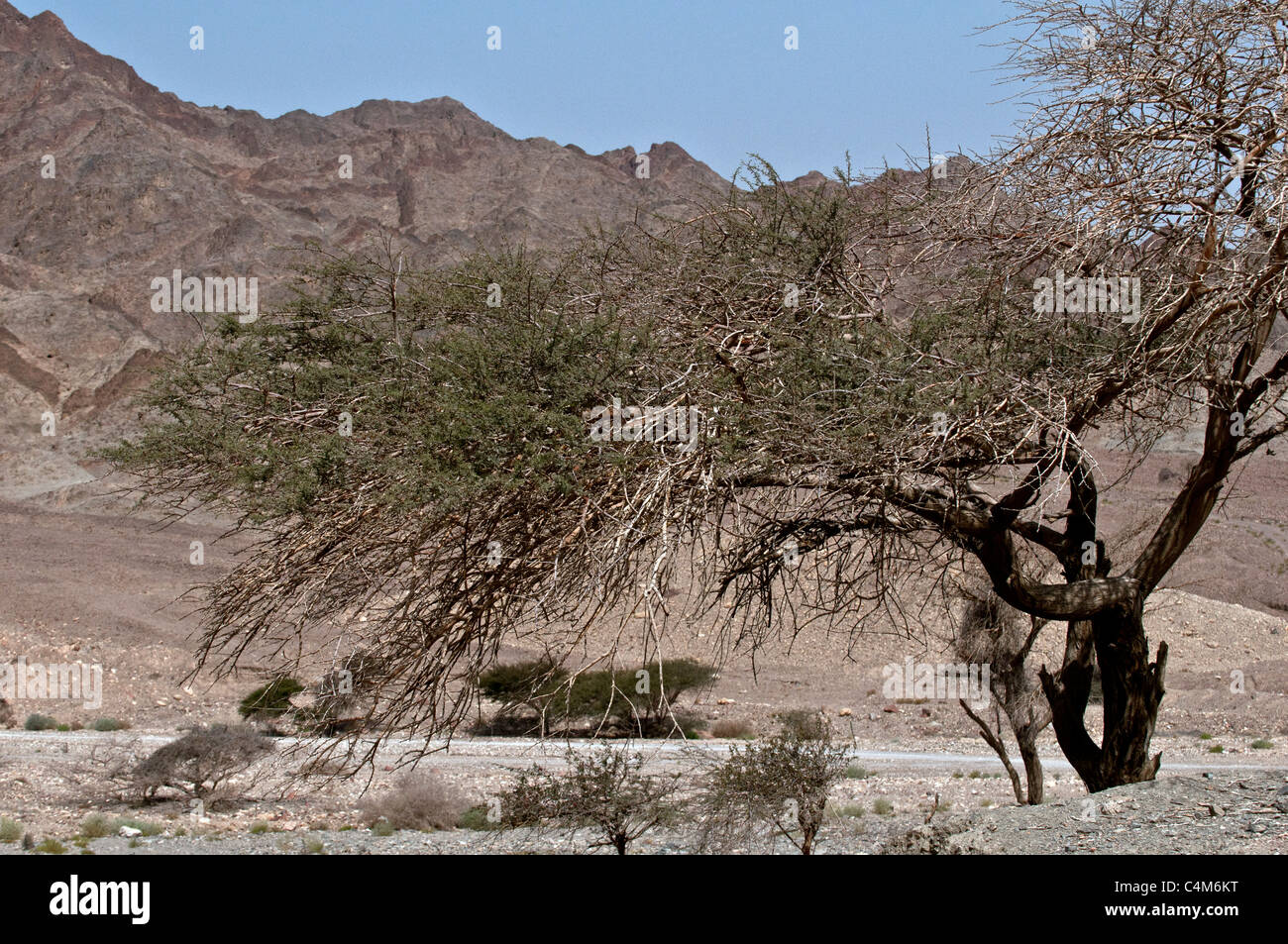 Eilat Mts.Nature reserve,Arabah Valley ,Great Rift Valley ,Israel Stock ...