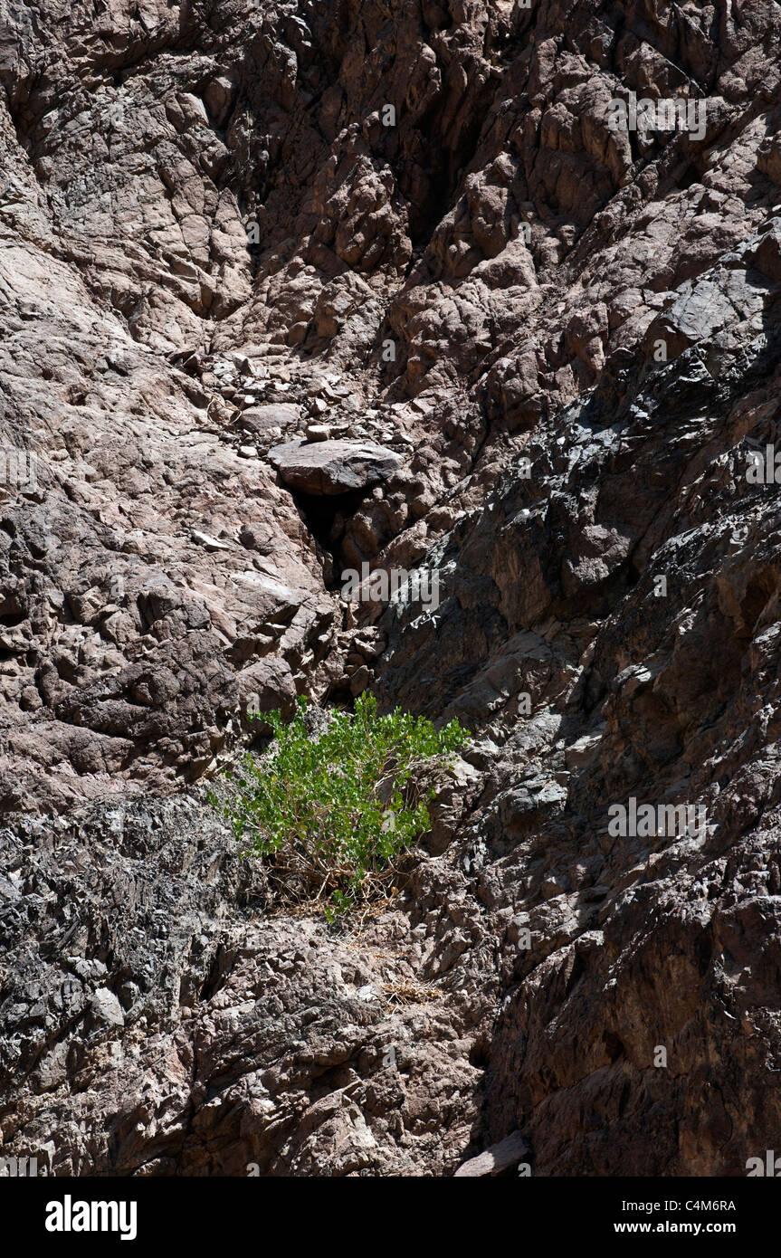 Eilat Mts.Nature reserve,Arabah Valley ,Great Rift Valley ,Israel Stock ...