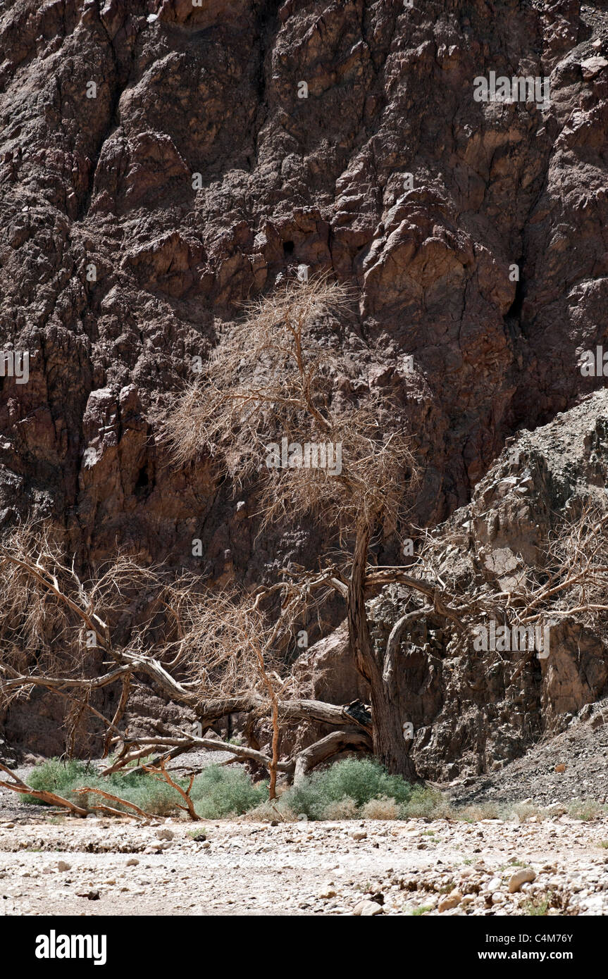 Eilat Mts.Nature reserve,Arabah Valley ,Great Rift Valley ,Israel Stock ...