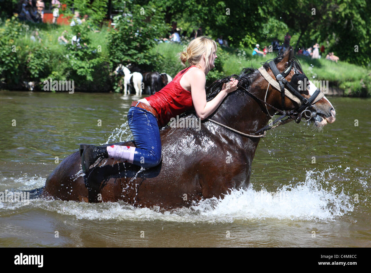 Appleby Horse Fair Westmorland Cumbria Stock Photo - Alamy