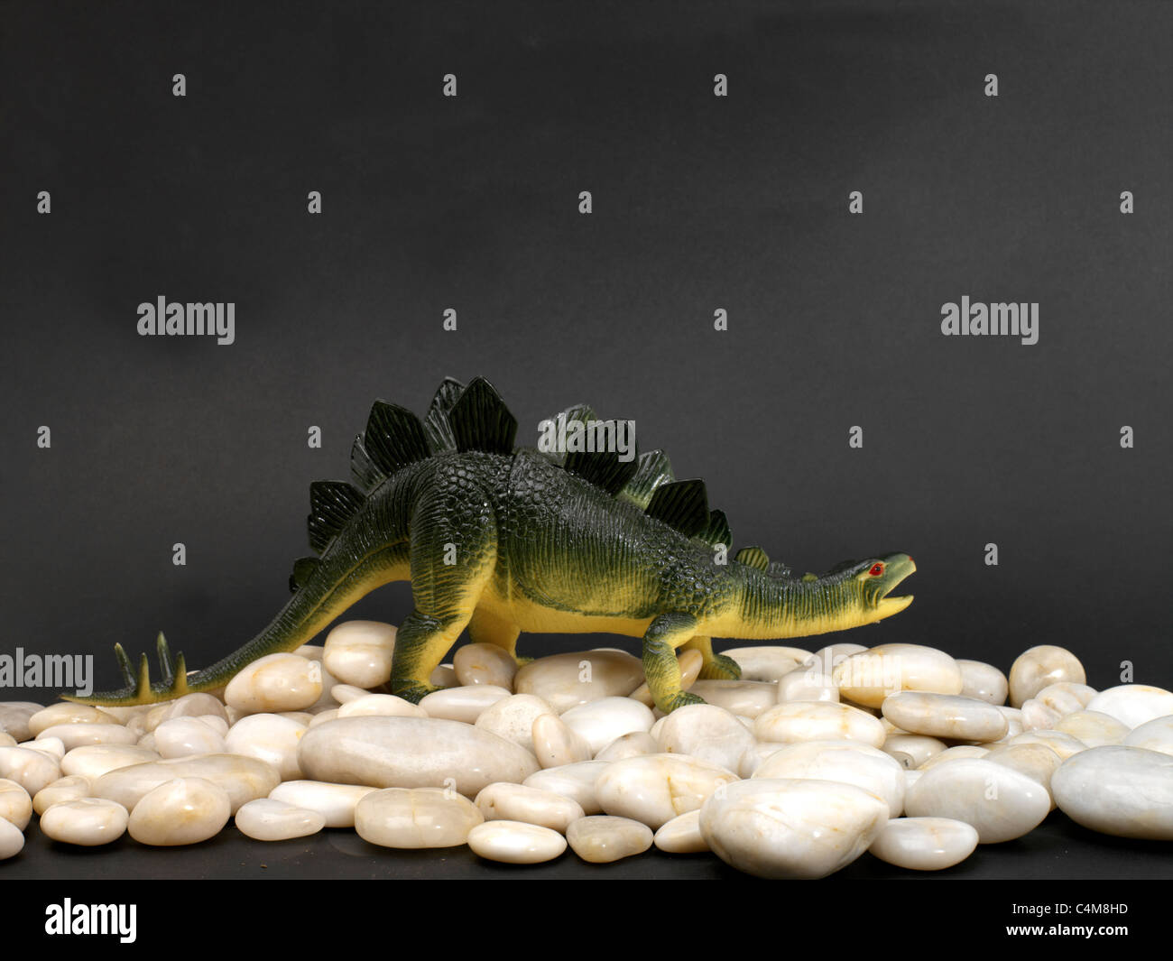Stegosaurus model hi-res stock photography and images - Alamy